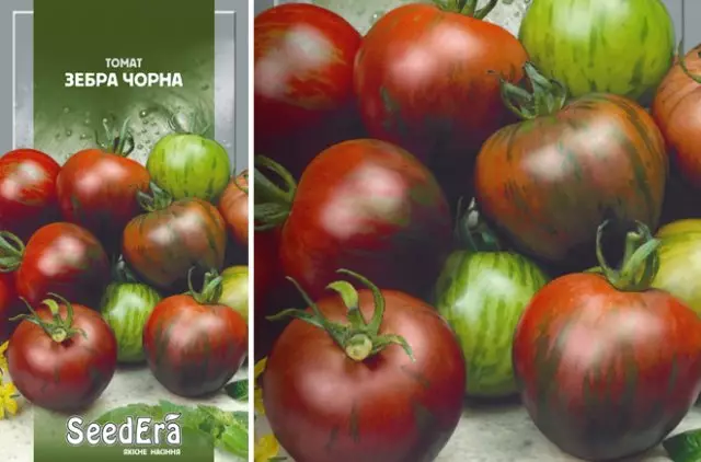 Tomato zebra reş