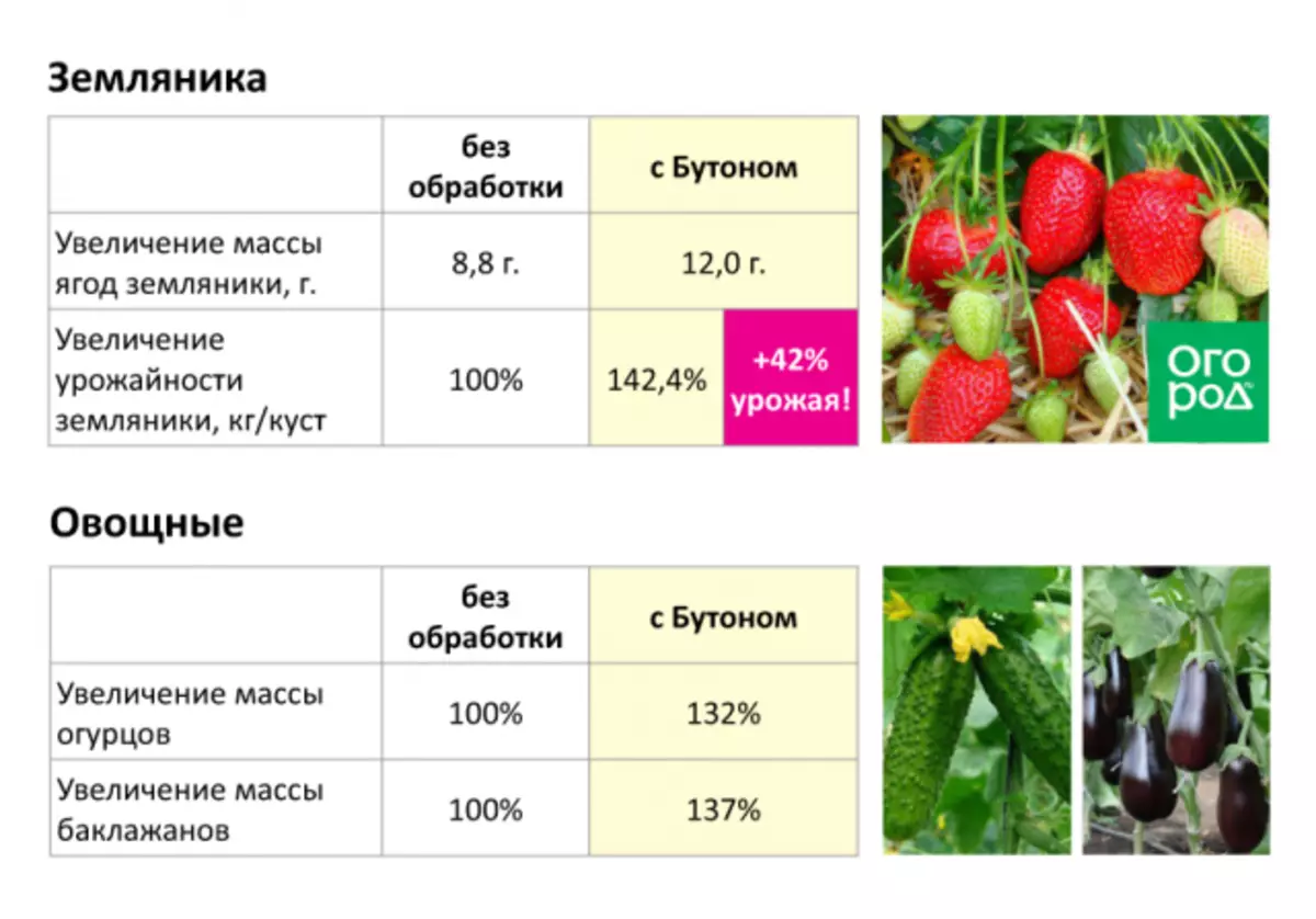 Amelyore fruent