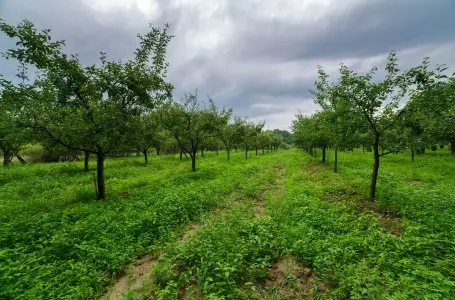 ສິ່ງທີ່ຈະເປັນເດືອນກຸມພາ 2018 - ການພະຍາກອນອາກາດໄລຍະຍາວ 11463_19