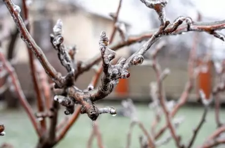 Ikizaba kizaba muri Gashyantare 2018 - Iteganyagihe ryigihe kirekire 11463_3