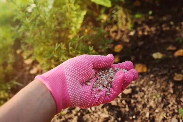 Fertilizantes na mão