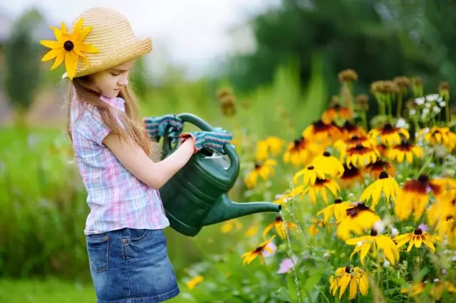 Flora ĝardeno en aŭgusto