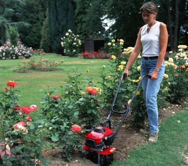 Top 6 garden equipment for