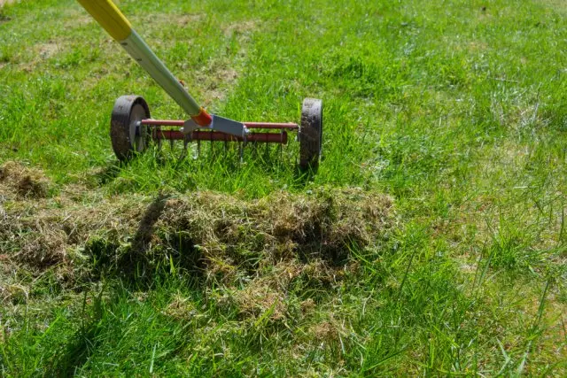 Escarificação do gramado