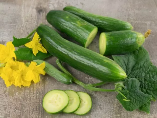 Cucumber saka macem-macem anyar