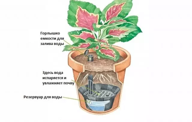 Scheme Kapasîteya Kapasîteya Karûbarê jixwe-Poly