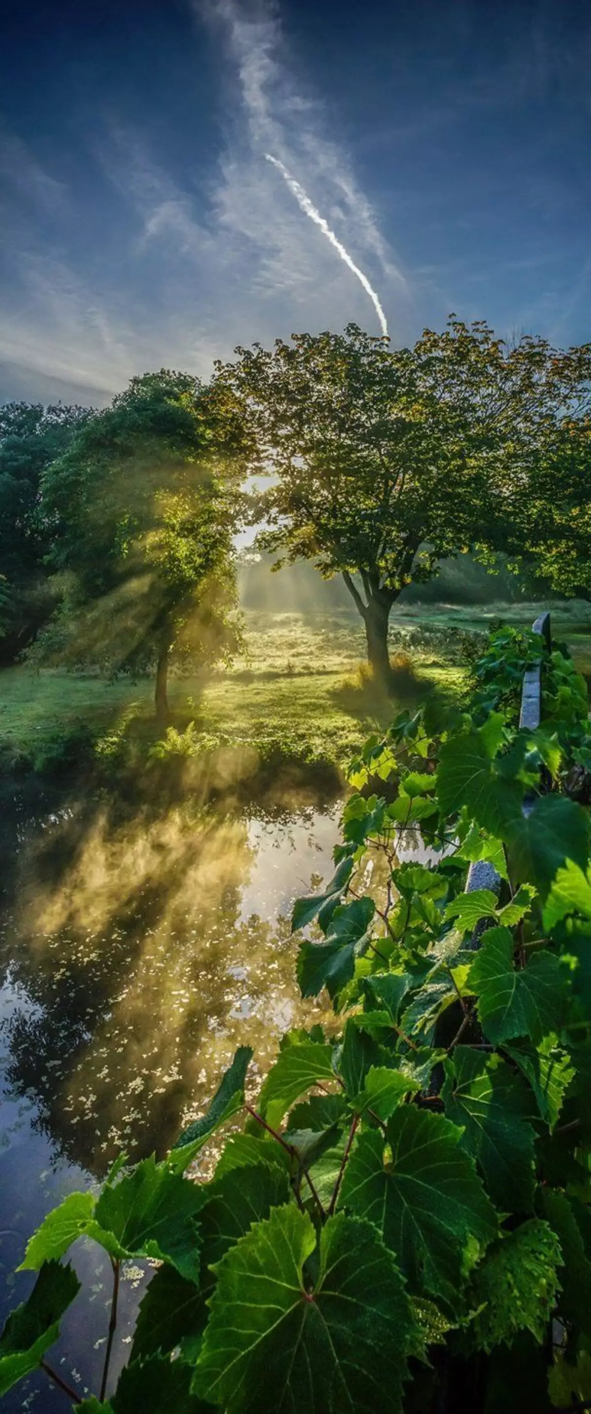 Rudens rytas Sayon House Park, Simon Hadleigh-Sparks