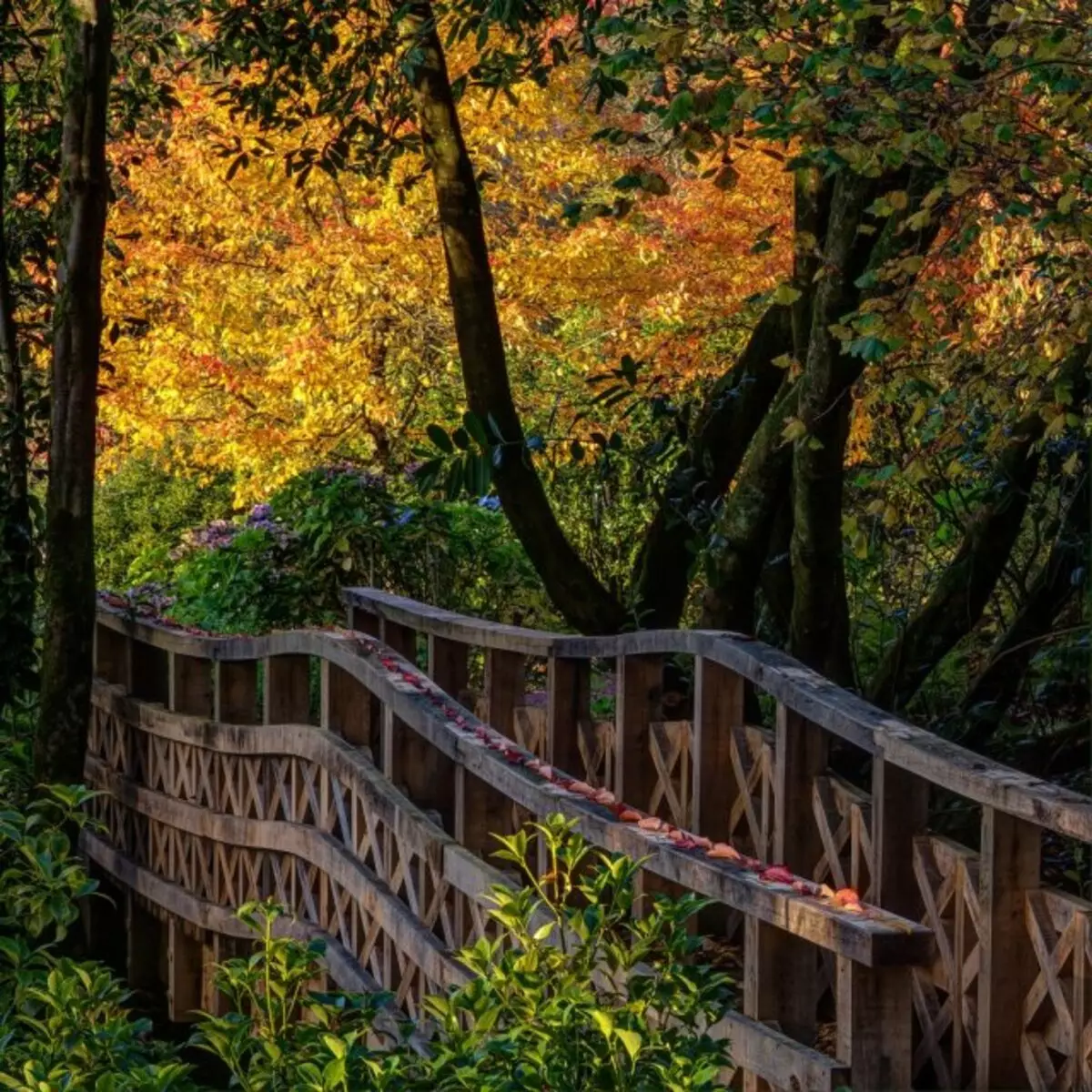 Rudens vakaras Aberglasni, Nigel McCall