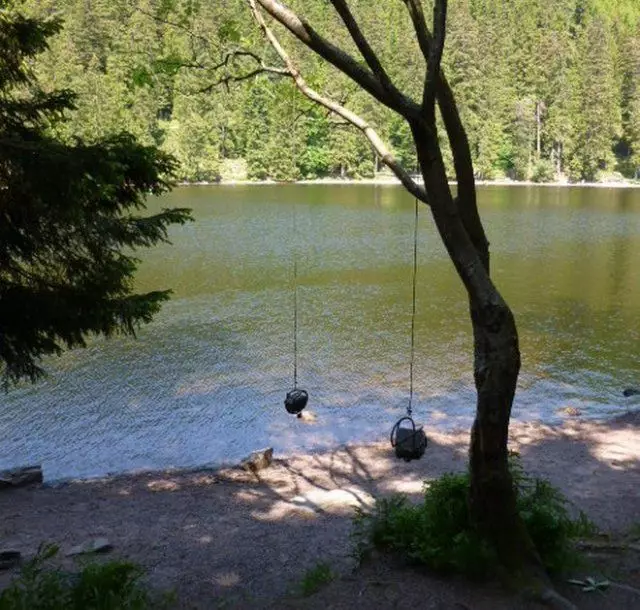 Suspendéiert Steng aus Bësch Lake