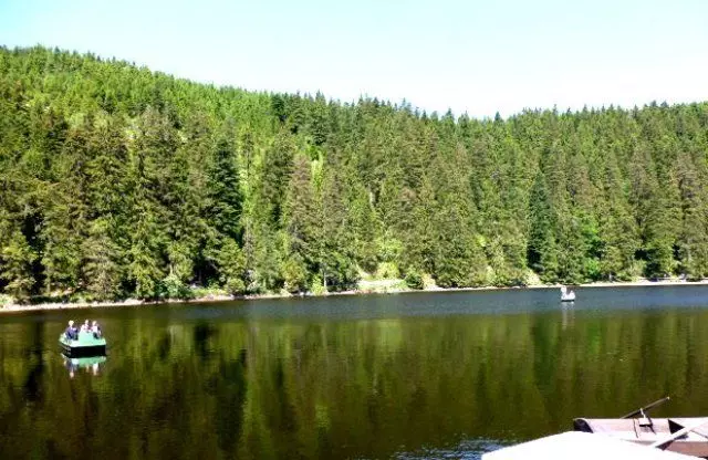 Lesné jazero je obklopené stromami, takže je takmer vždy pokoj