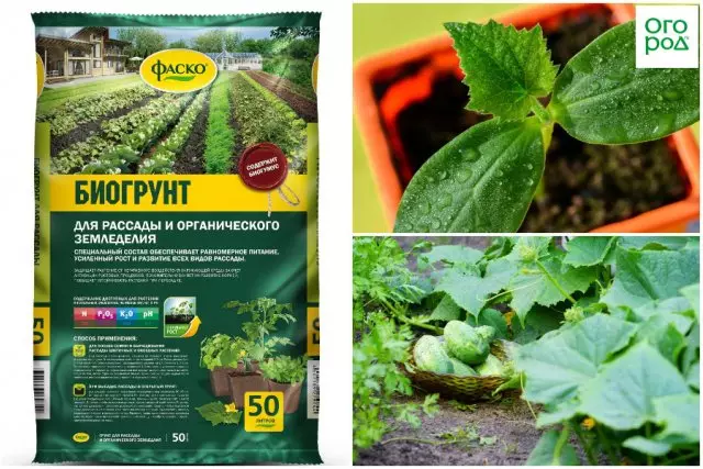 Grunt with biohumus - a reasonable choice for your garden