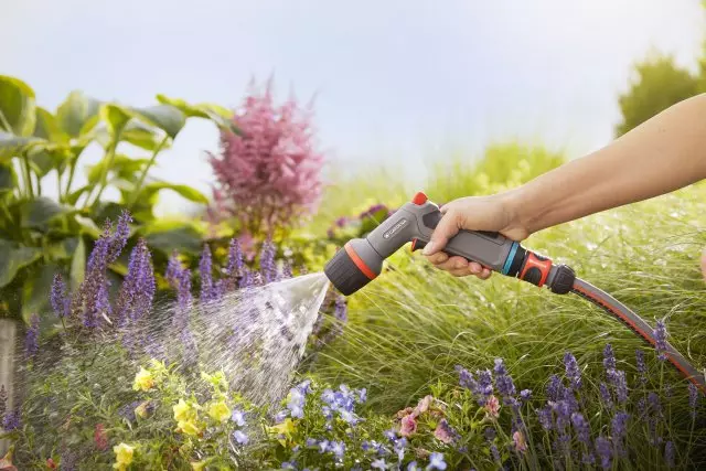 Right watering the garden: what it is and how to implement