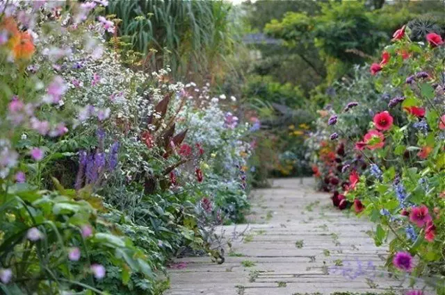 10 ideas for the garden in Irish style