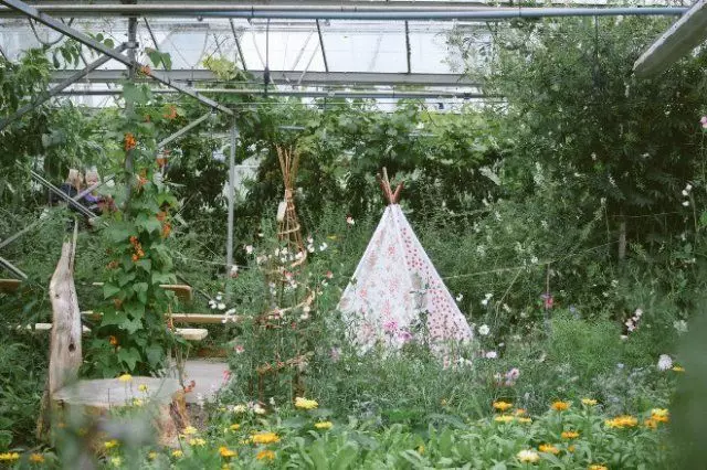 Piccolo giardino in Scozia nascosto dagli occhi indiscreti 11947_21