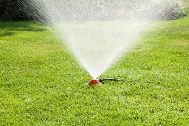 Circular Sprinkler Pyramid