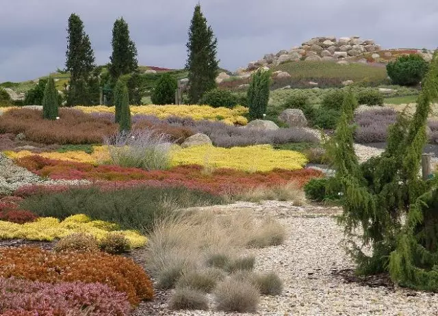 Plantas en el parque.