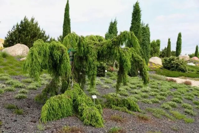 Esculturas naturales