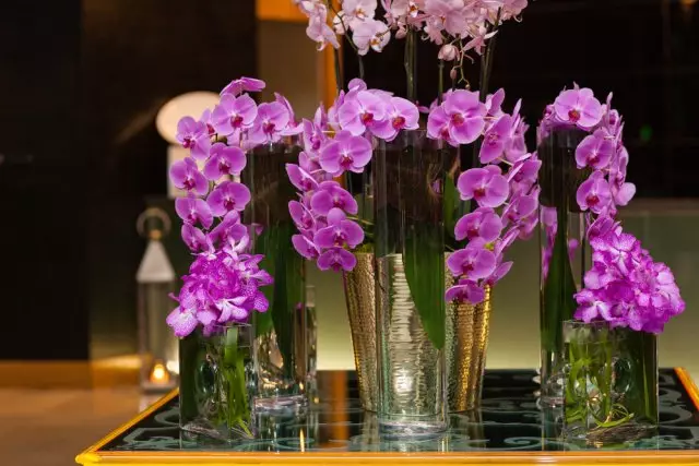 Hoe orchidee in water te laten groeien