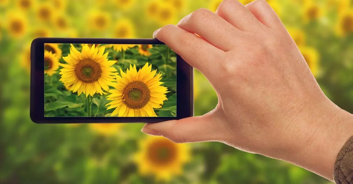 10 Mellores aplicacións para o xardín e xardín en Android