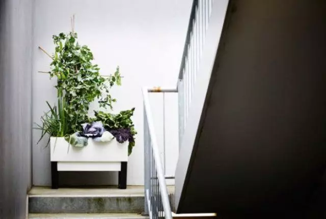 Inštalácia môže byť nastavená na rebríku pre interiérové ​​dekorácie