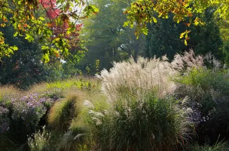 Que faire avec des céréales au printemps: 4 marches sur des formes luxuriantes 1226_3