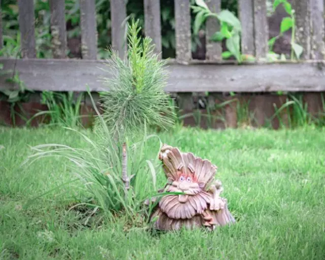 Chiffres de jardin sur la parcelle