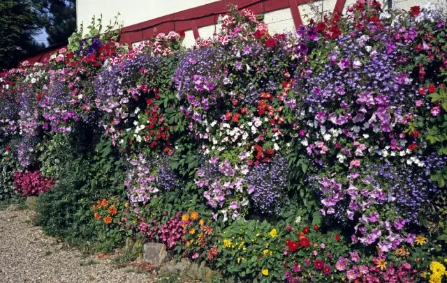 jardinería vertical