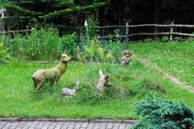 庭のサイズ