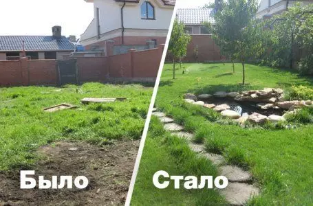 Ce plante ridică pentru o zonă mică (6 hectare și mai puțin) 1340_3