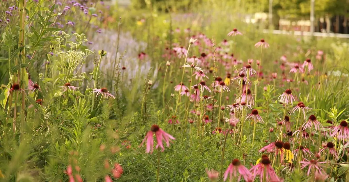 7 Revolusionêre idees vir jou tuin van Thomas Rainer