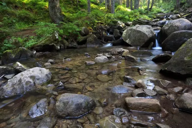 River Stones.