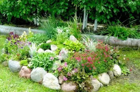 10 questions les plus fréquentes sur les diapositives alpines et les jardins pierreux 1355_8