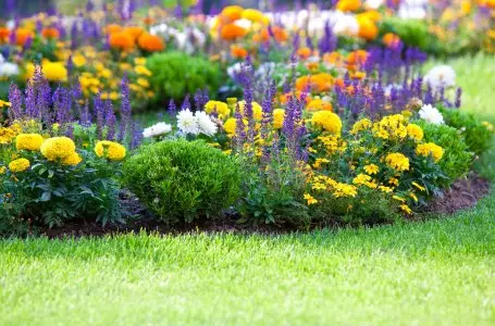 Como corrixir unha cama de flores feo: 10 técnicas sen problemas 1365_14