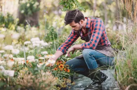 Paano Ayusin ang isang Pangit na Bed Flower: 10 Mga Trouble-Free Techniques 1365_23