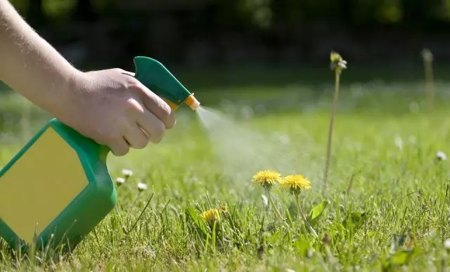 Herbicidas contra las malezas