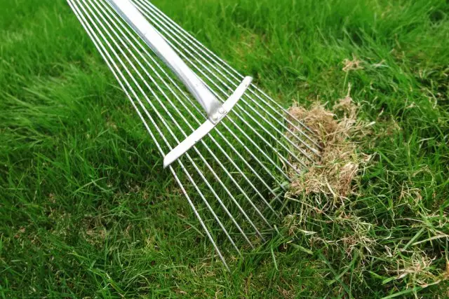 rake