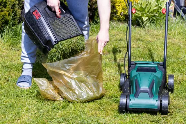 Haircut of Lawn.