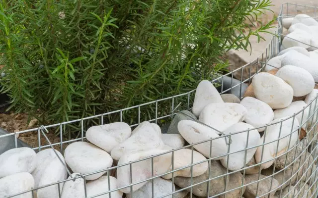 Gabion White Stones