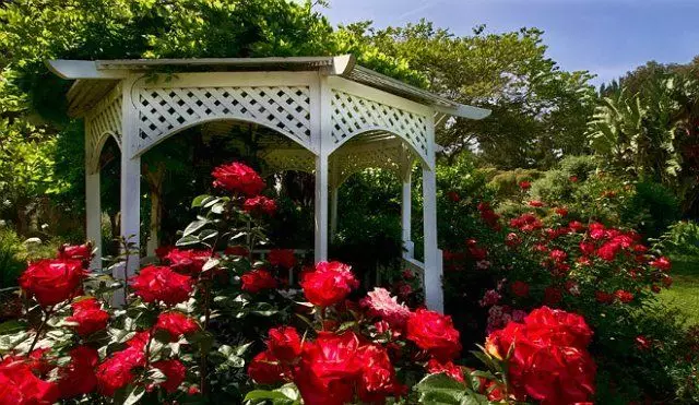 Beautiful and simple garden gazebos 1415_63