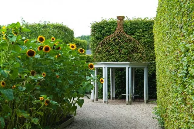 Gazebo på platsen