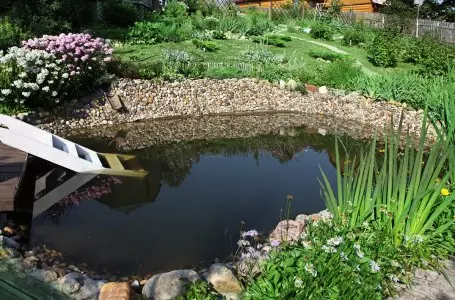 Pourquoi l'eau dans une piscine de rue et la façon de l'empêcher? 1433_16