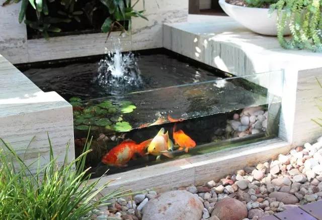 Garden Aquarium.