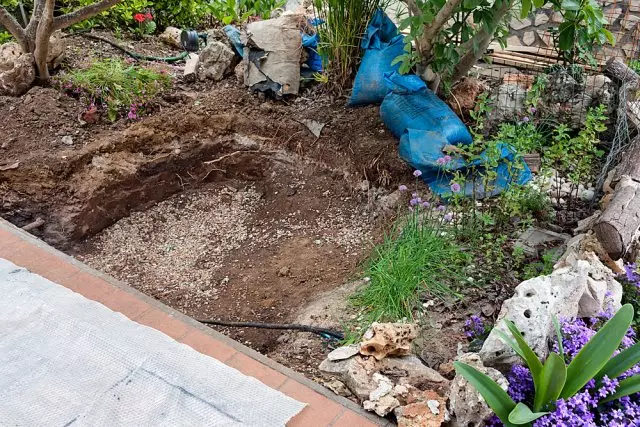 Mungkin dimungkinkeun pikeun ngamimitian lauk di balong di pondok sareng naon anu diperyogikeun pikeun ieu