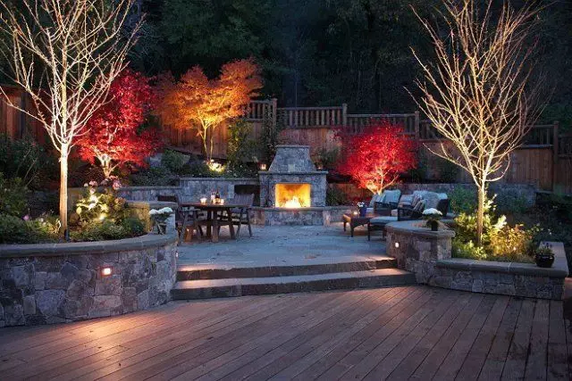 Accenting Backlighting Garden Trees