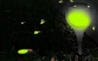 Houses for fireflies. Alternative Garden Lighting