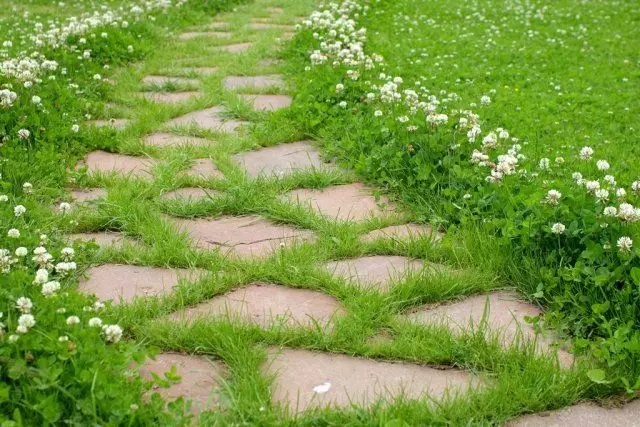 Garden Track, Pjanċa