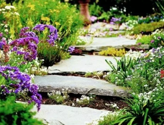 Garden paths with their own hands: 9 original ideas 1465_11