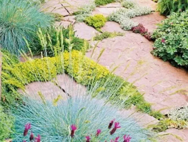 Garden paths with their own hands: 9 original ideas 1465_13