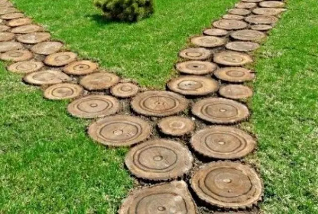 Garden paths with their own hands: 9 original ideas 1465_17