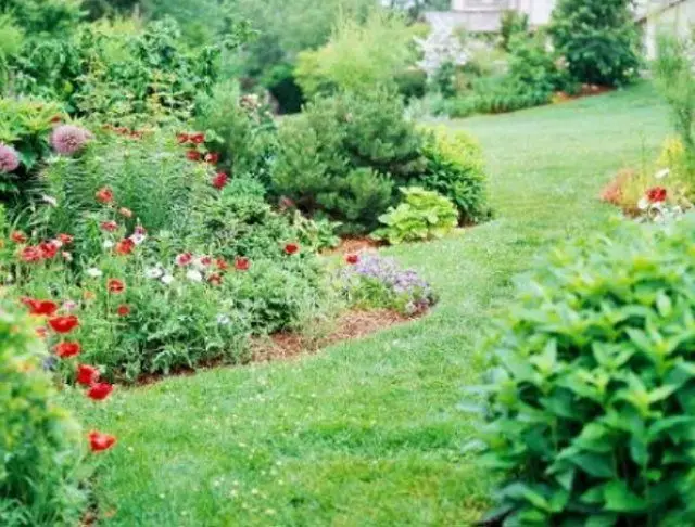 Garden paths with their own hands: 9 original ideas 1465_3